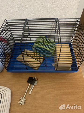 Шиншилла черный бархат