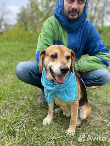 Перси ждёт свою семью в приюте