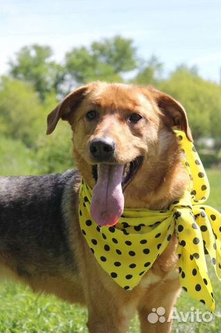 Ласковая Баффи