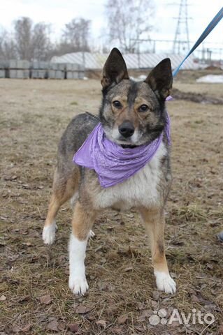 Чудо-девочка