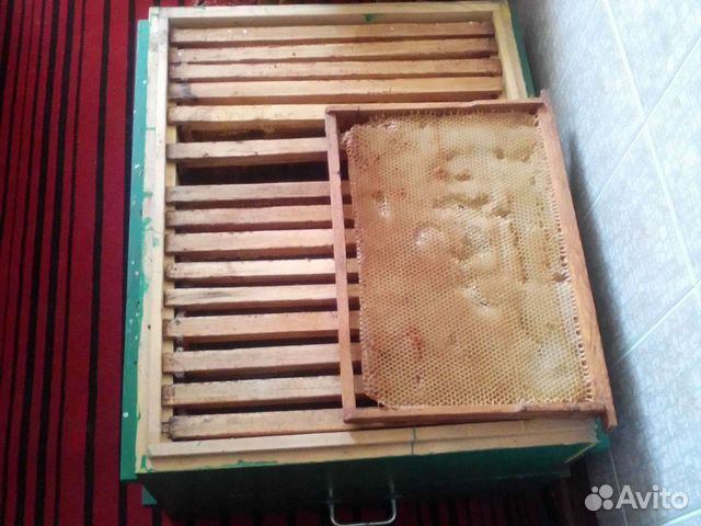 Рамки с вощиной