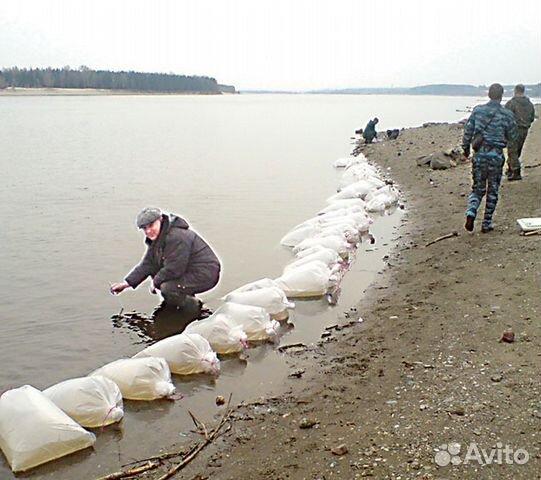 Личинка для зарыбления. Пелядь (сырок)