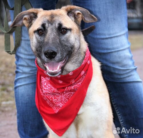 Жуля в добрые руки