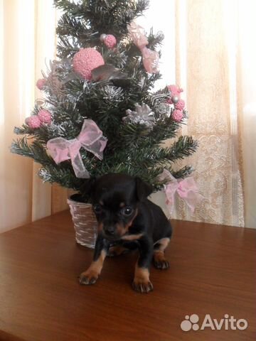 Подарки для любимых