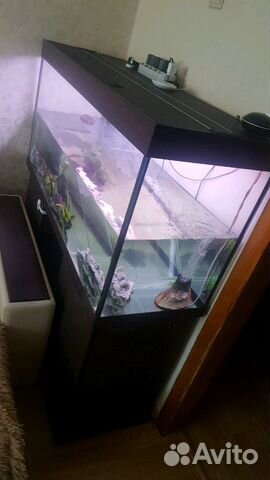 Аквариум-террариум