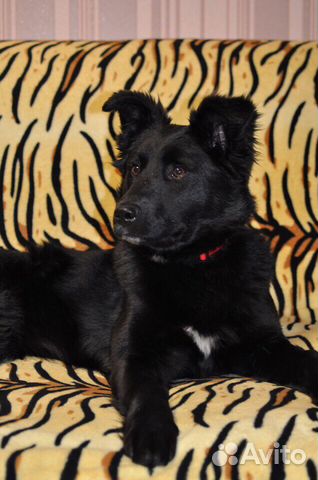 Девочка Моня