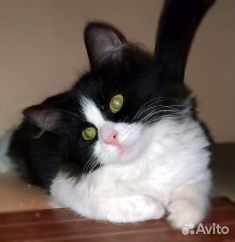 Плюшевая девчонка-антидепрессант