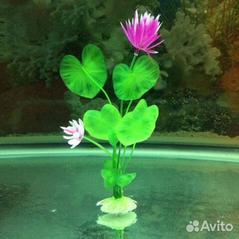 Шикарные искусственные водоросли