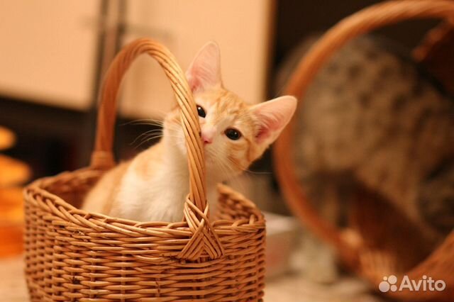 Солнечный мальчишка, 5 месяцев