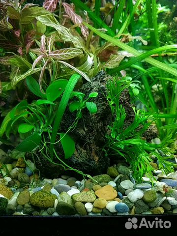 Декорации для аквариума