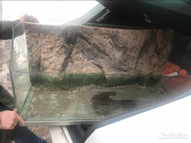 Полидариум или аквариум для черепахи