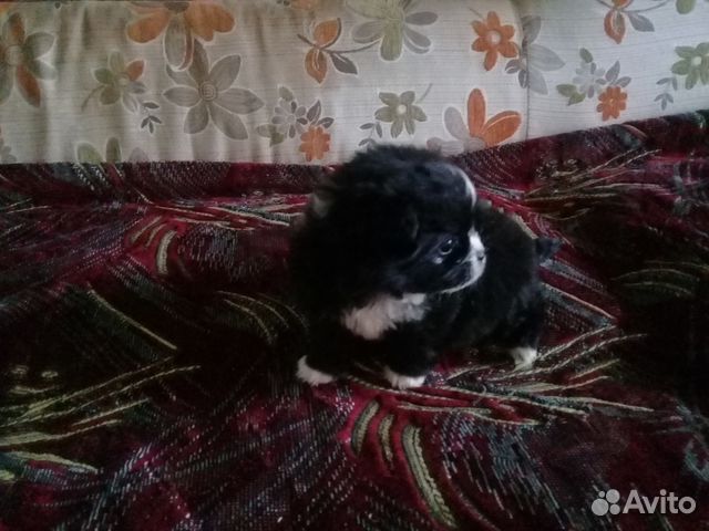 Отдам в хорошие руки