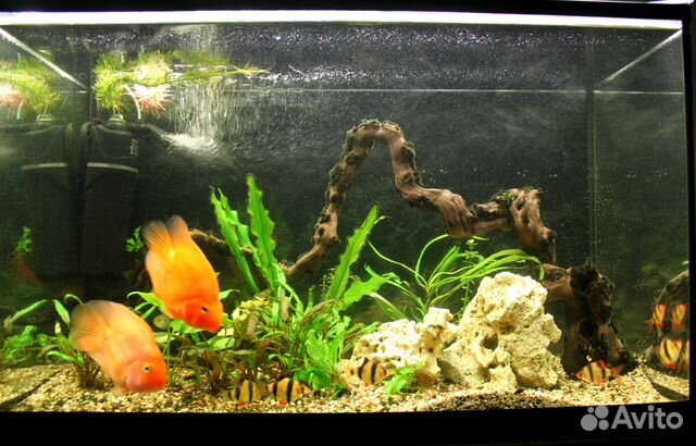Продам аквариум 160 литров