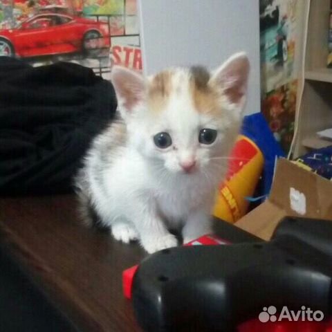 Девочка в хорошие ручки)