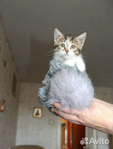 Малышка Веснушка в добрые руки