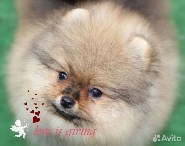 Апельсинчик