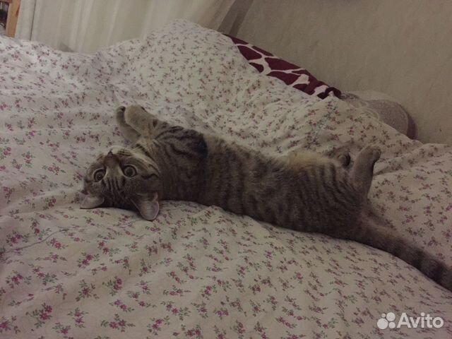 Невеста ждёт Жениха. Вязка