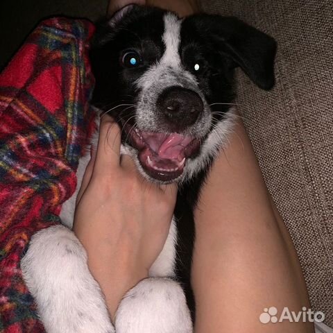 Солнышко в добрые руки