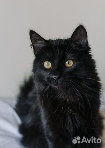 В самые надежные руки