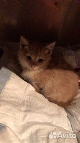 Добрым людям