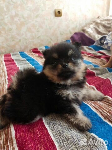 Маленькие модницы