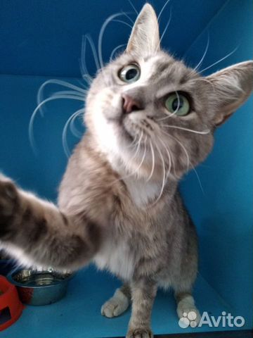 Удивительная умница-ласкуша-красавица Маруся в дар