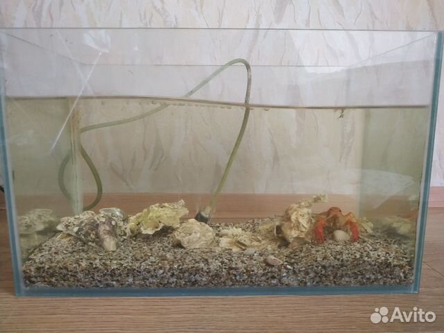 Аквариум