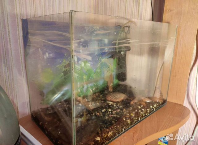 Аквариум 35л готовый(грунт, фильтр, декор)