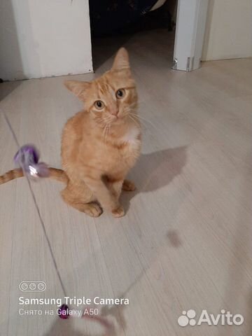 Рыжая девочка