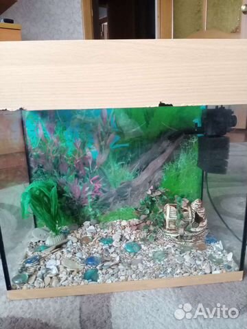 Аквариум со всеми вещями для него