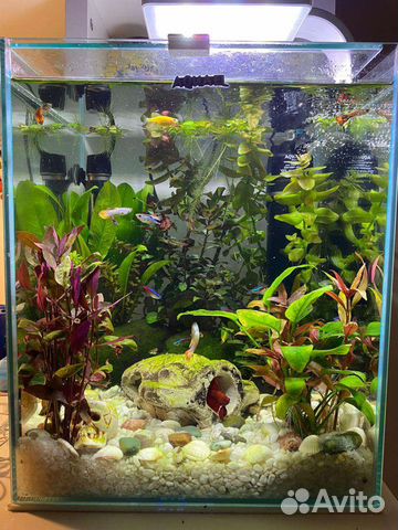 Аквариум aquael 30 л