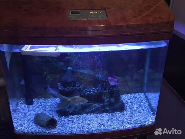 Аквариум