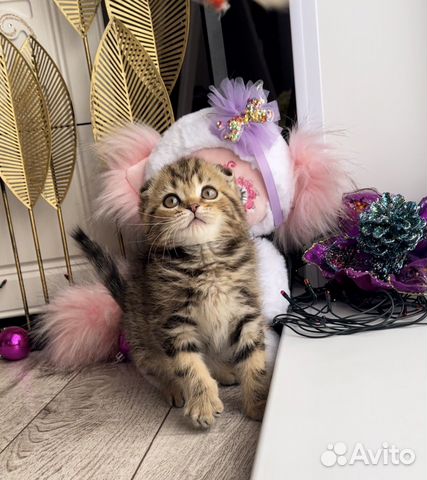 Девочка Ягодка