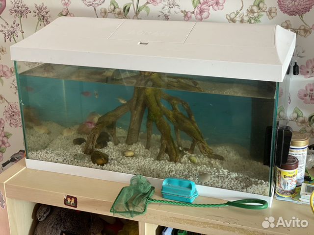 Аквариум Aquael Leddy Set LT 60