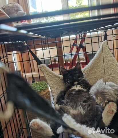 Жизнь прекрасна как ни крути