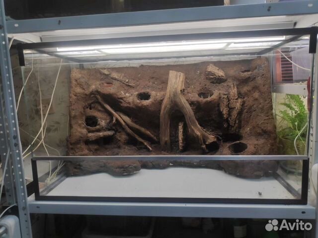 Террариум для рептилий и мелких лягушек