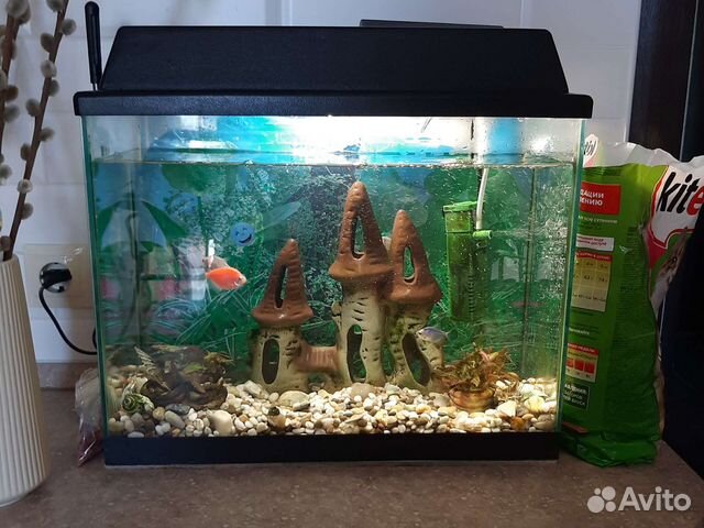 Действущий аквариум