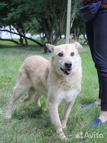 Старушка Ватрушка из приюта