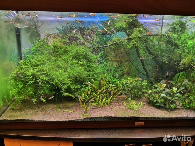 Аквариум