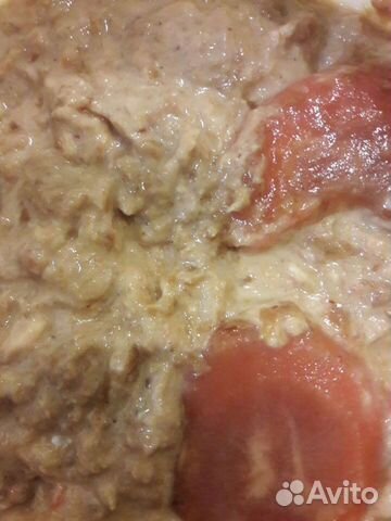 Нематода (уксусная угрица) микрокорм