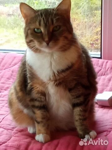 Мне отдали ее при смерти (замершая беременность)