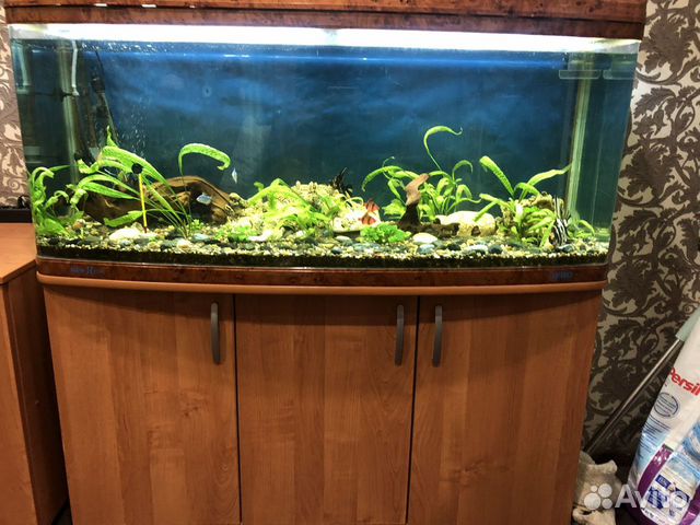 Продам аквариум