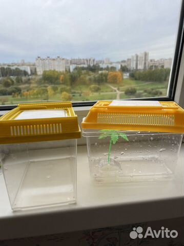 Аквариум переноска для рыб и черепах