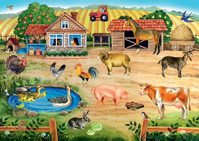 Закупаем Свиней крс и мрс живым весо